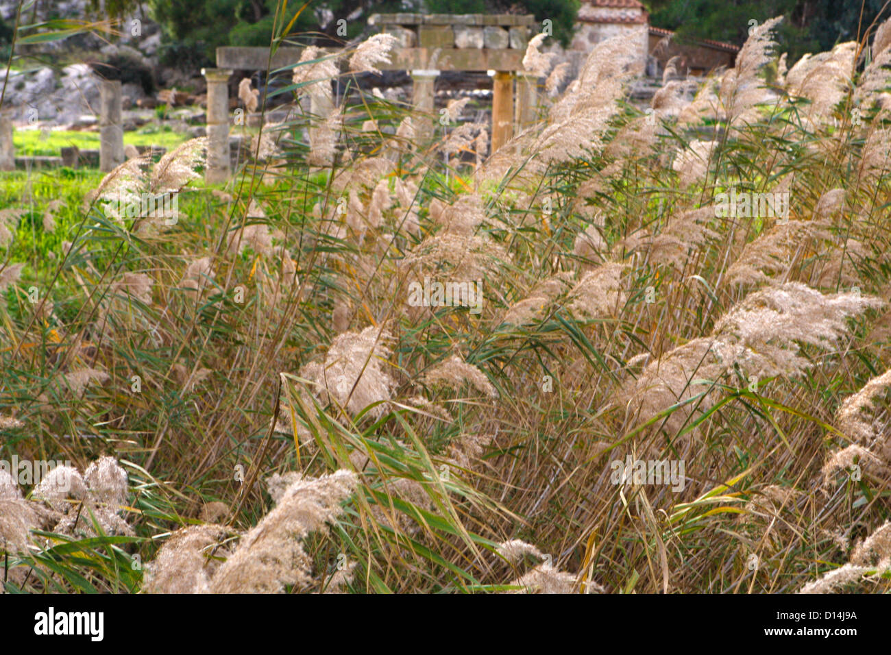 The ancient temple of Artemis in Brauron, 30 km from Athens Stock Photo ...