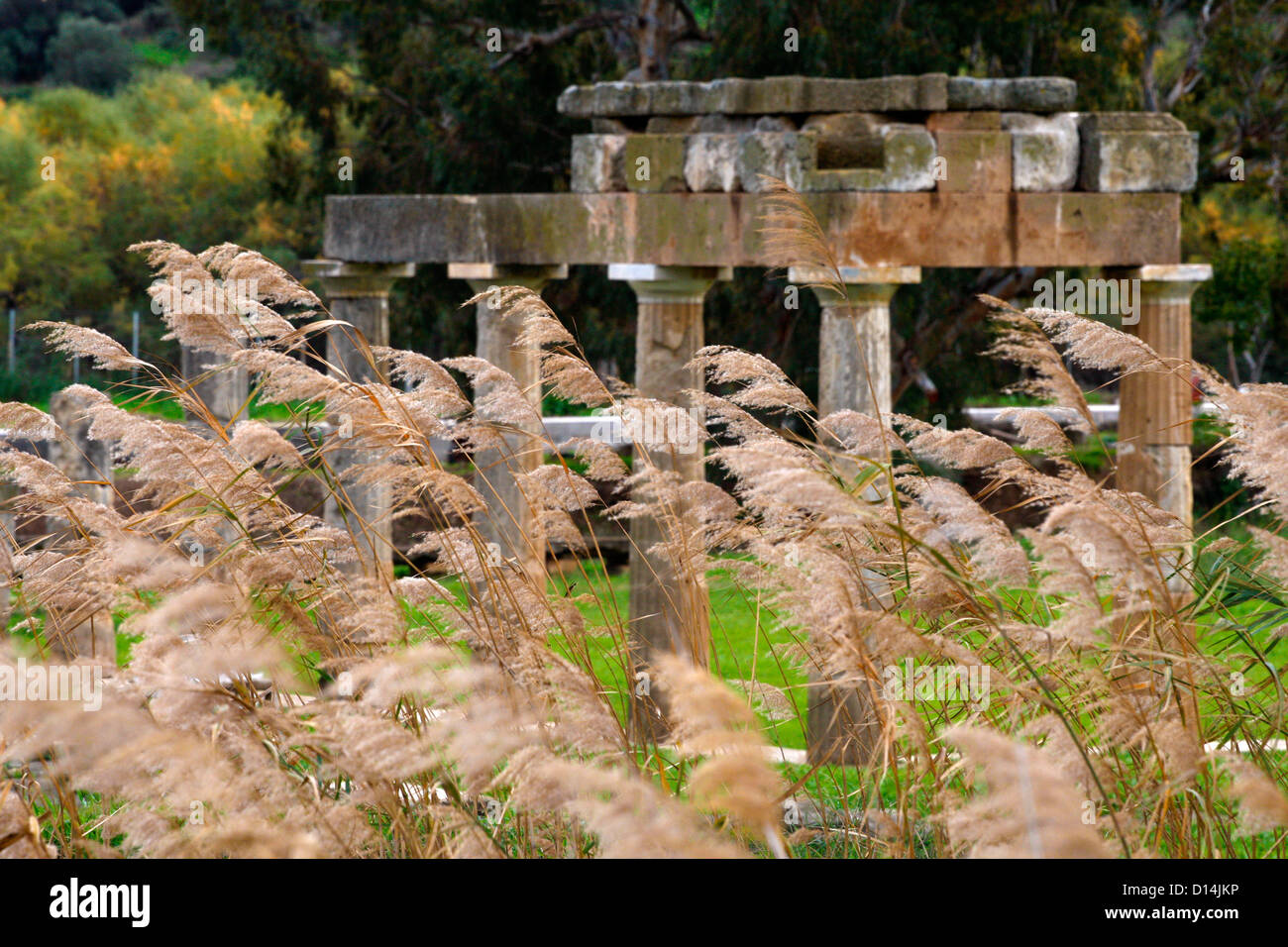 The ancient temple of Artemis in Brauron, 30 km from Athens Stock Photo ...