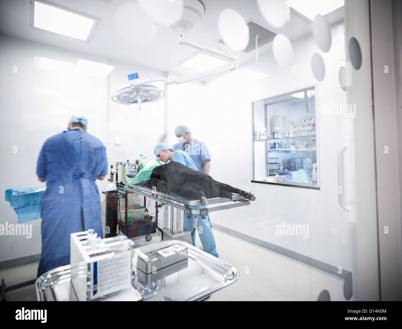 Operating room blurred motion hi-res stock photography and images - Alamy