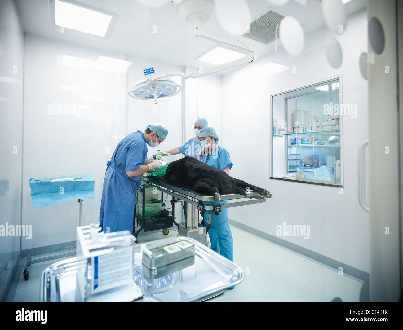 Operating room gown hi-res stock photography and images - Alamy