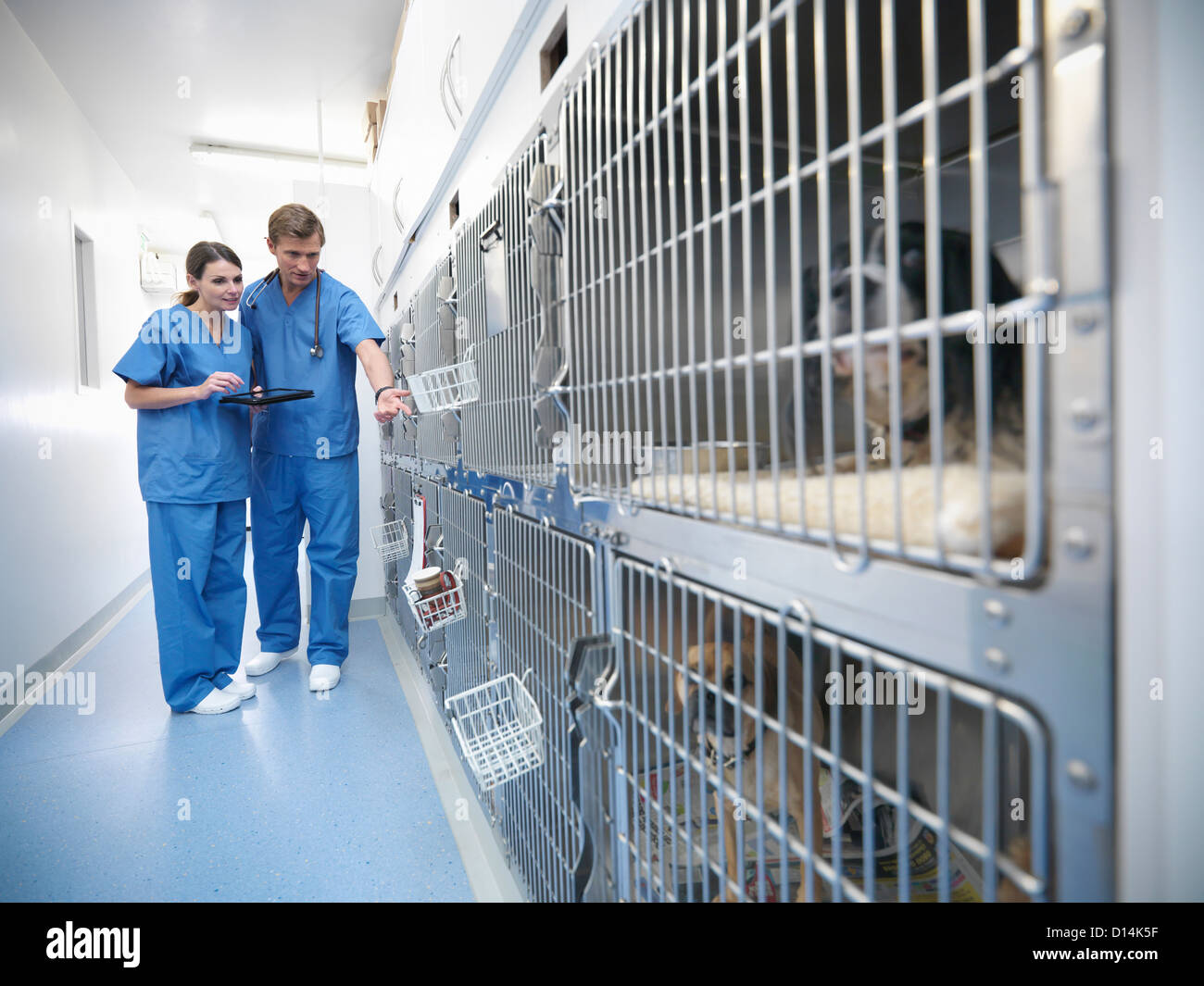 Women In Cages High Resolution Stock Photography and Images - Alamy