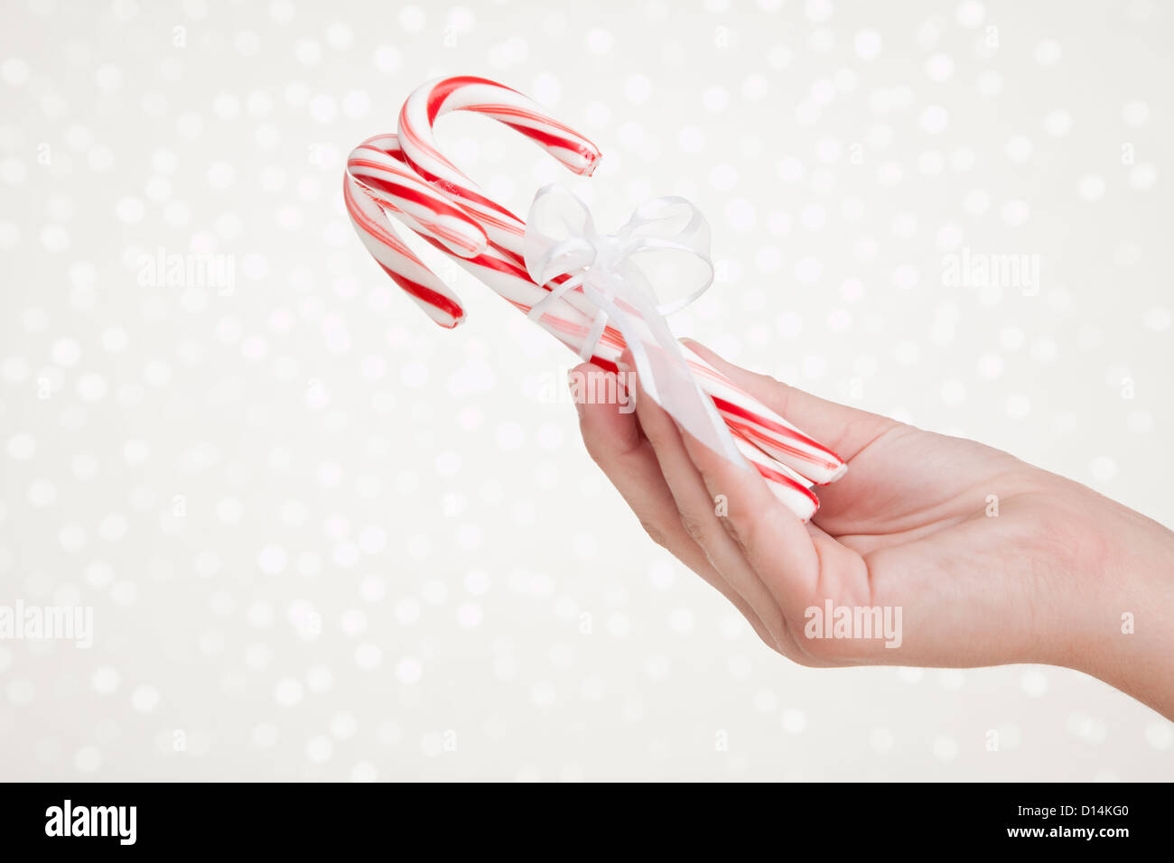 Girl (12-13) holding tied up peppermint candy canes on sparkled ...
