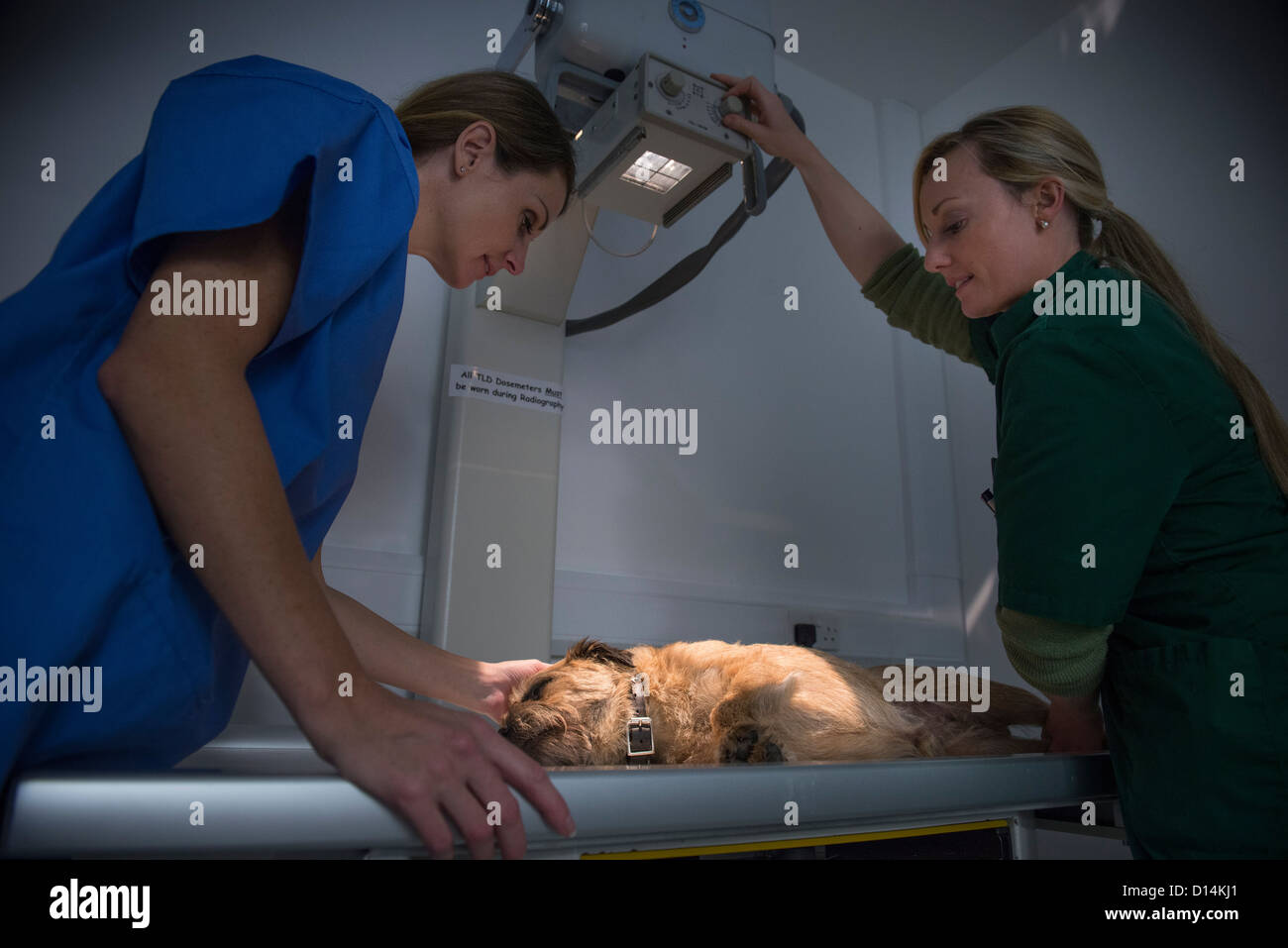 X Ray Examination Stock Photos & X Ray Examination Stock Images - Alamy