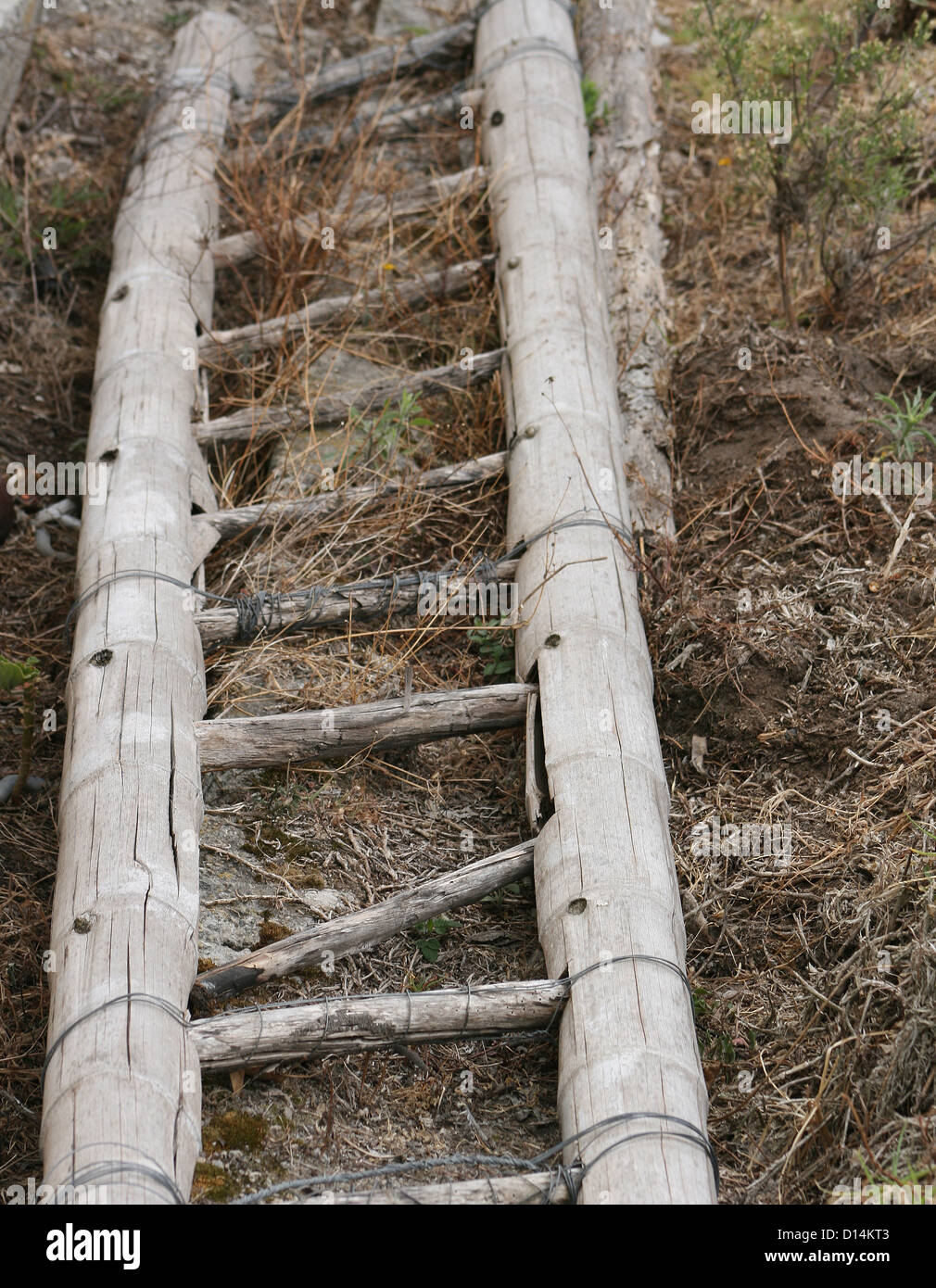 Bamboo ladder hi-res stock photography and images - Alamy
