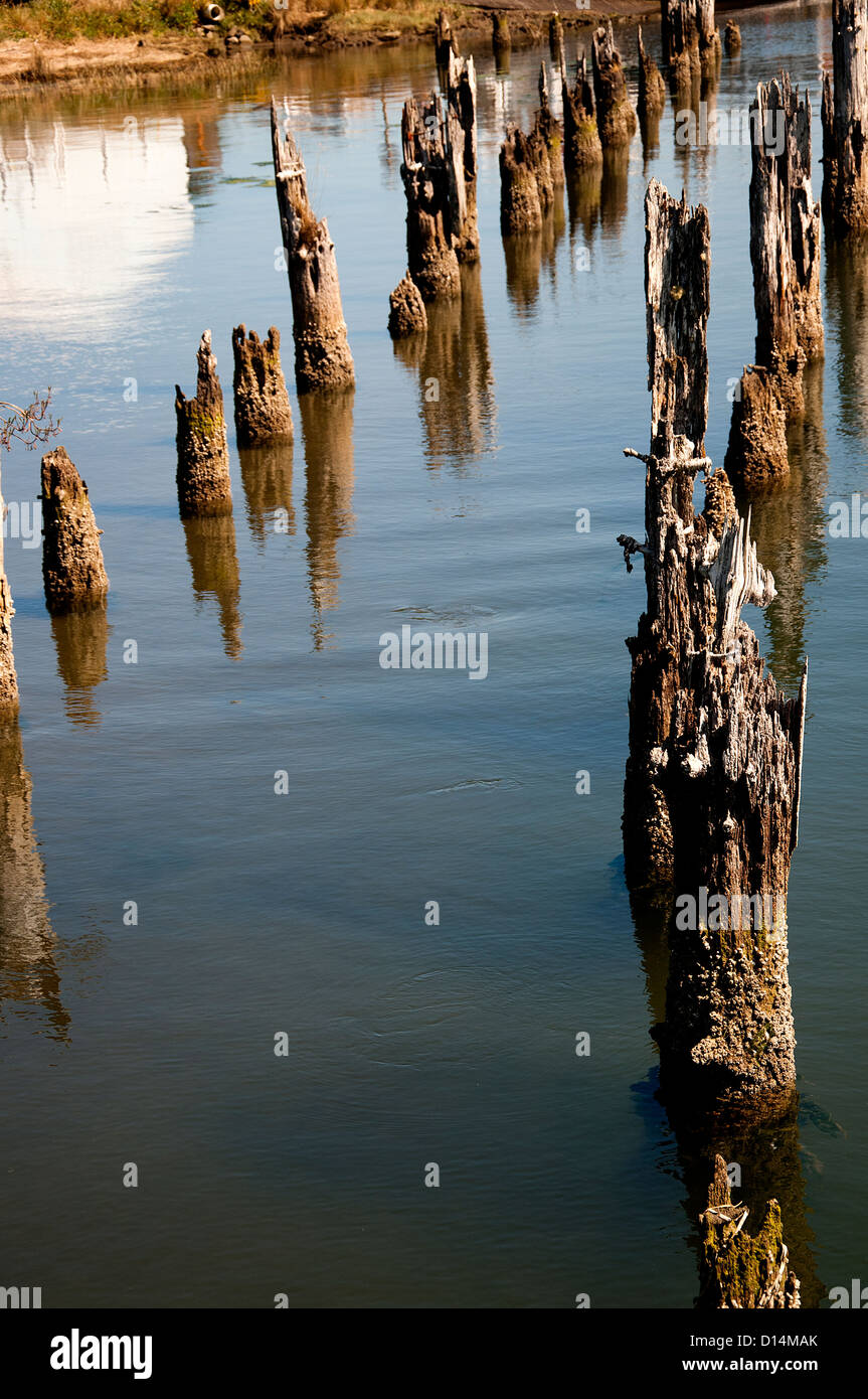 The coast town of Florence in Northern California USA Stock Photo - Alamy