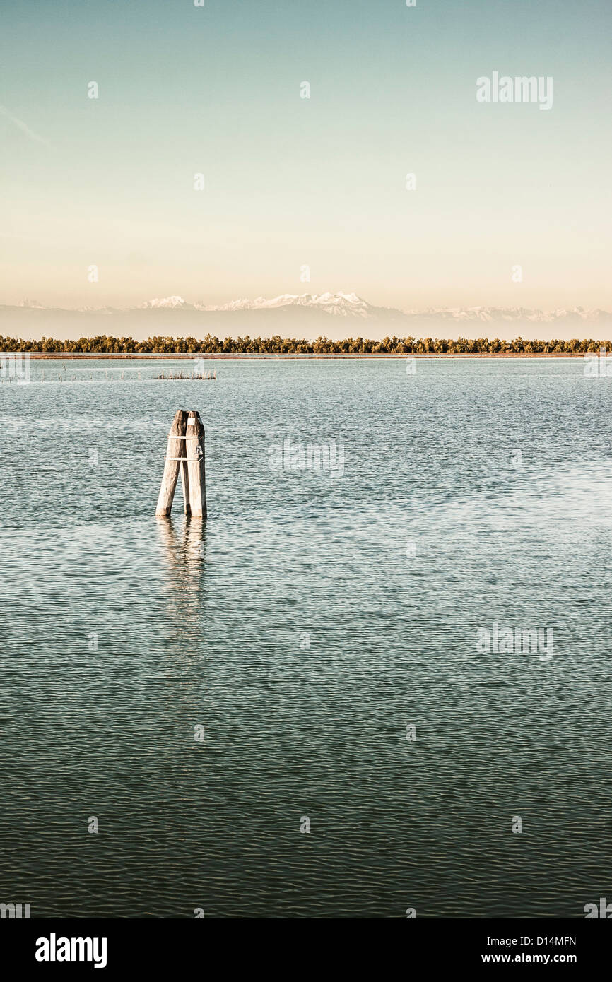 Vertical shot wooden log hi-res stock photography and images - Alamy