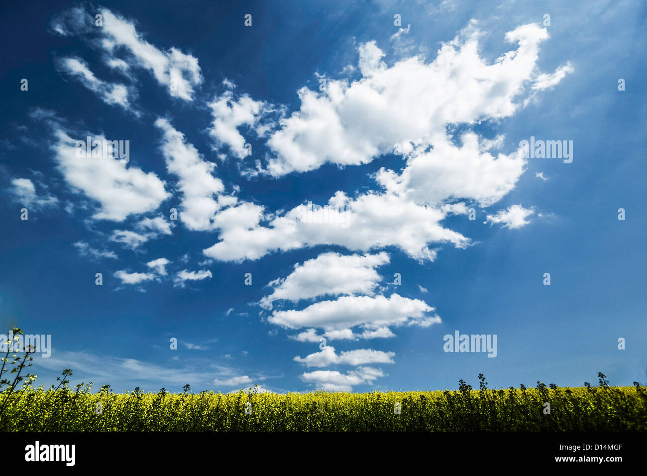 Photography grass sky cloud sunlight hi-res stock photography and ...