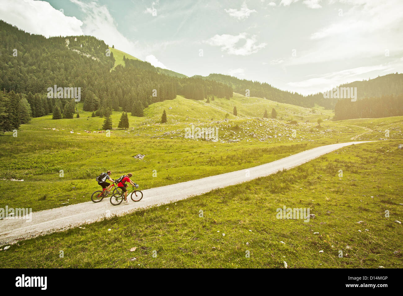 Couple riding bicycles on rural road Stock Photo - Alamy