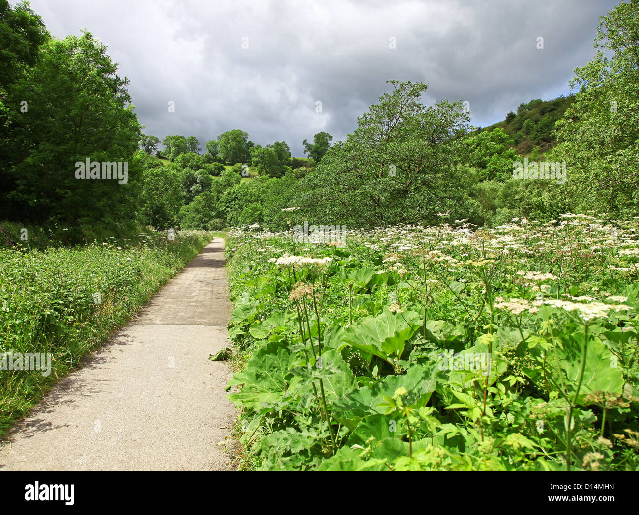 The manifold way peak district hi-res stock photography and images - Alamy