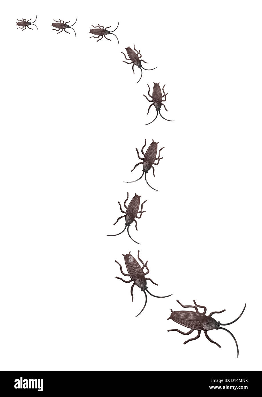 Line of Toy Cockroaches Stock Photo - Alamy
