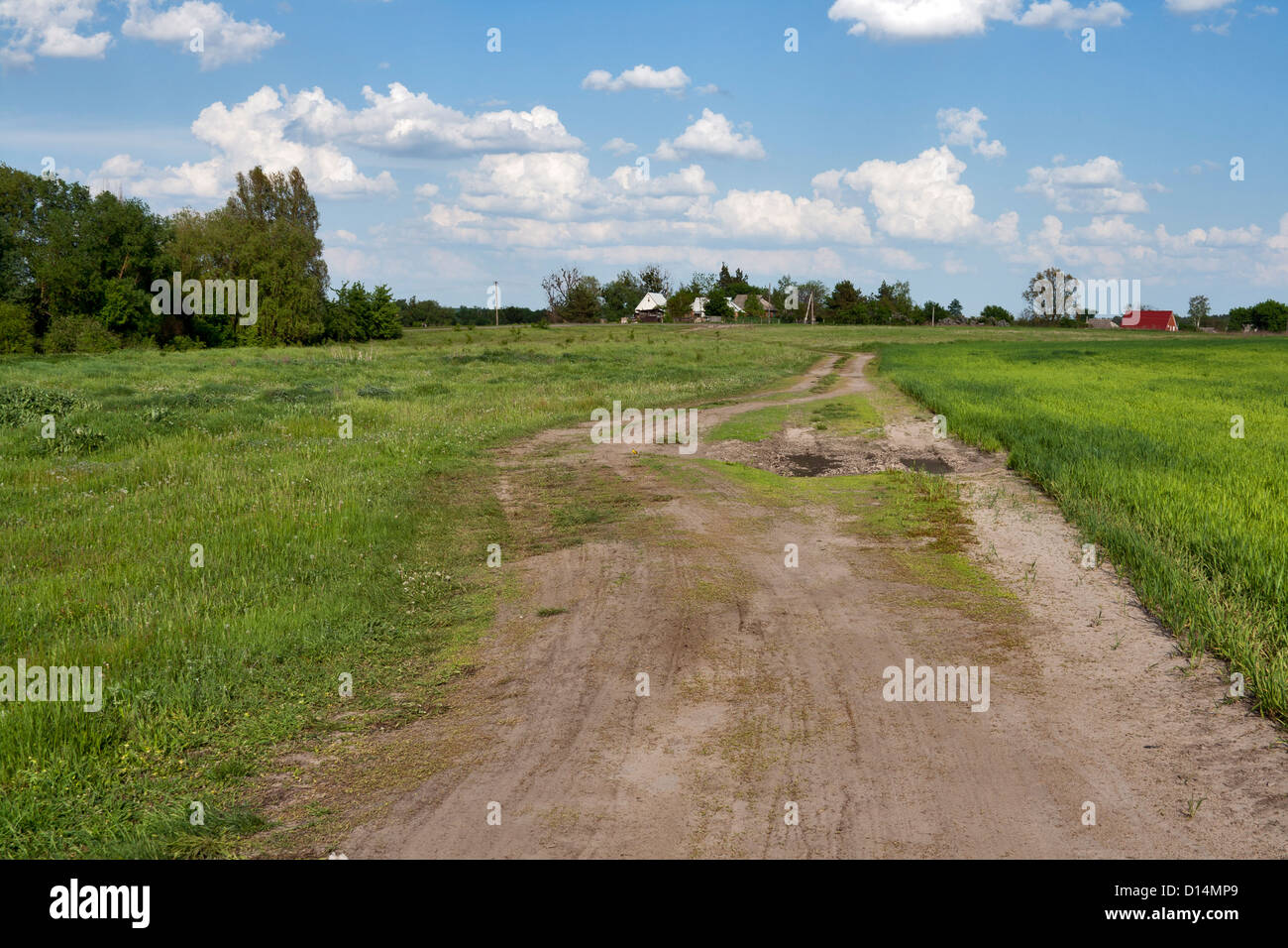 Country road through the fields. Ukraine Stock Photo - Alamy