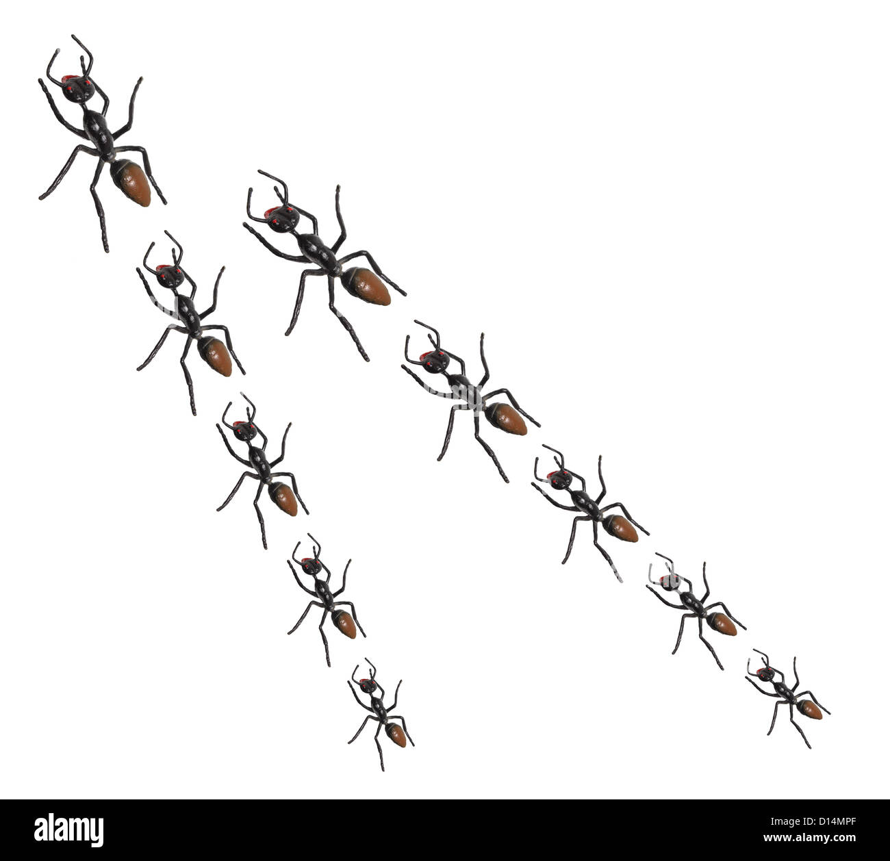 Follow lines Cut Out Stock Images & Pictures - Alamy