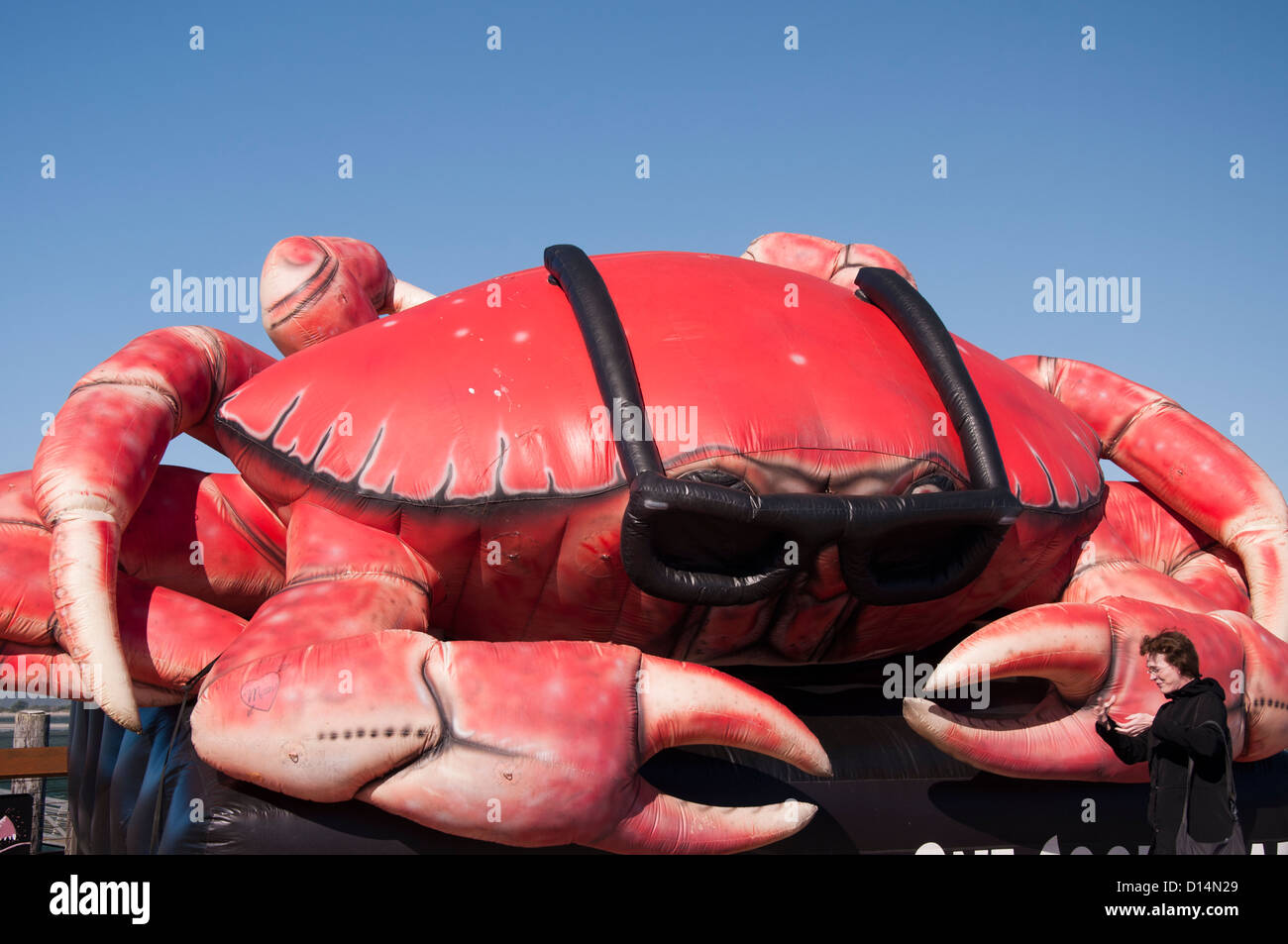 Gigantic inflatable Crab in the coast town of Florence in Northern ...