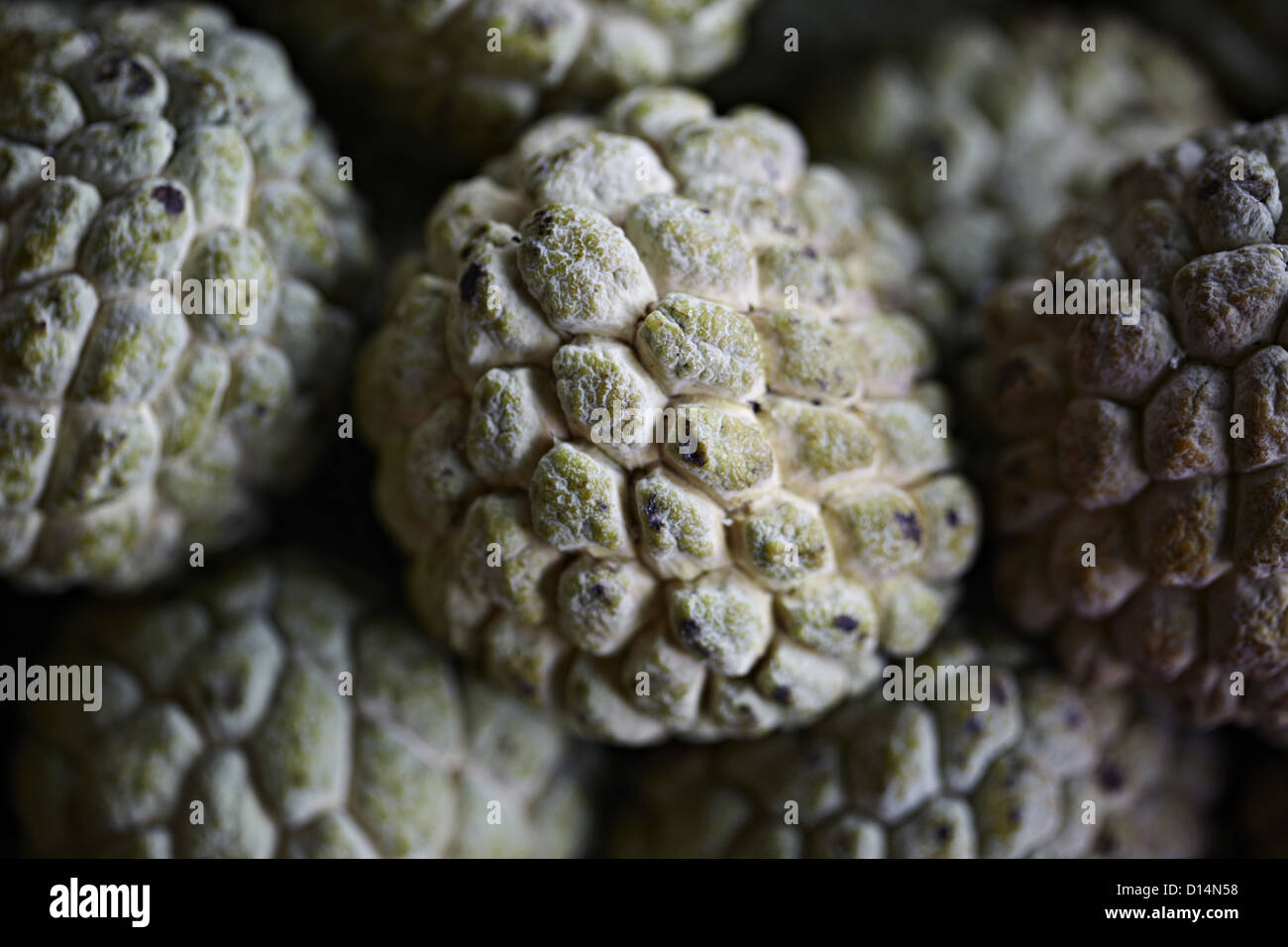 Sugar apple hi-res stock photography and images - Alamy