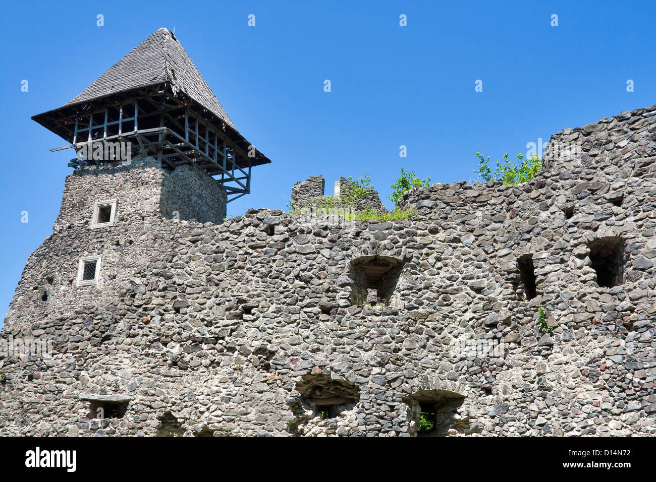 Nevitsky Castle ruins built in 13th century. Ukraine Stock Photo - Alamy