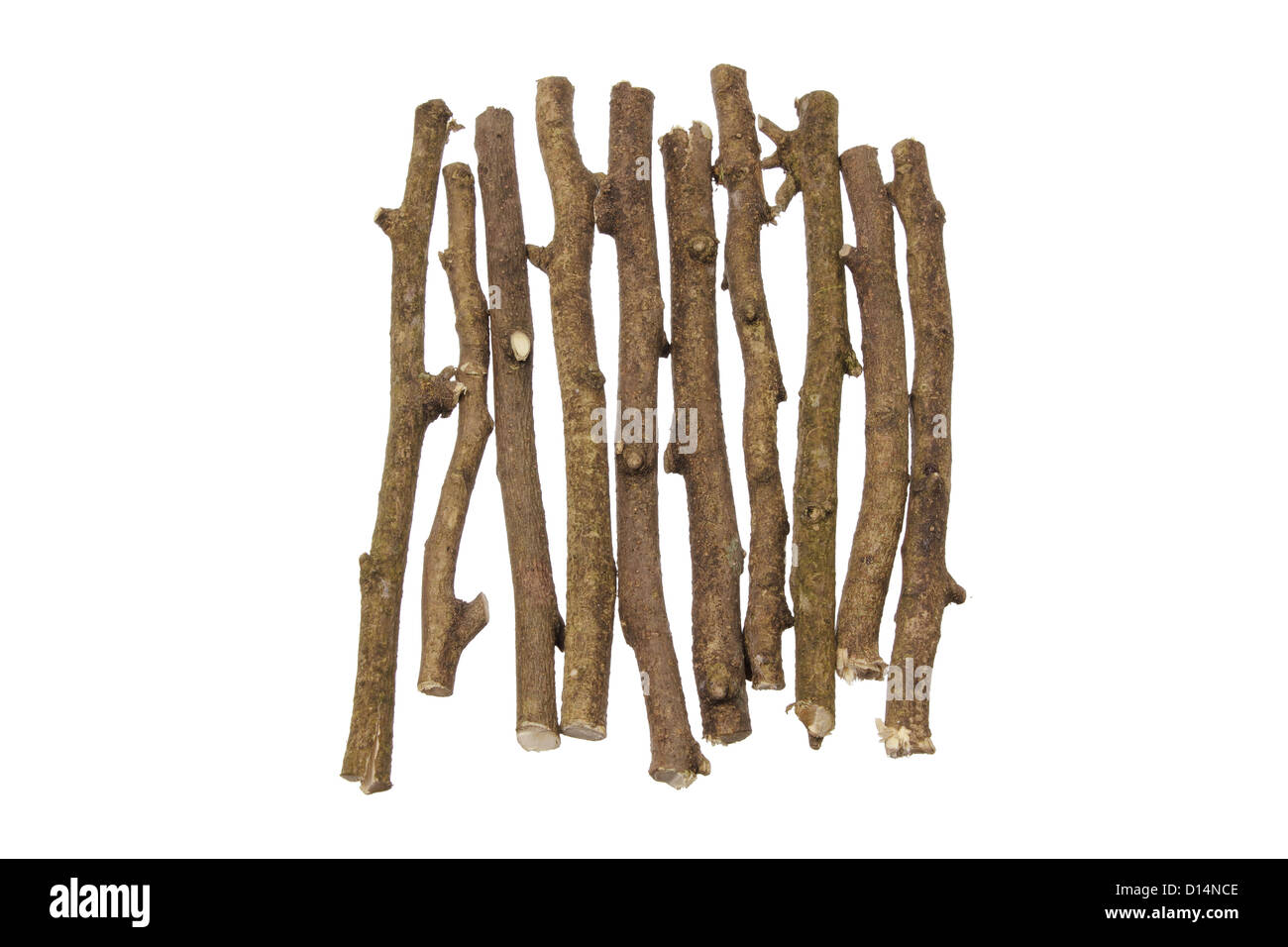 Woody texture Cut Out Stock Images & Pictures - Alamy