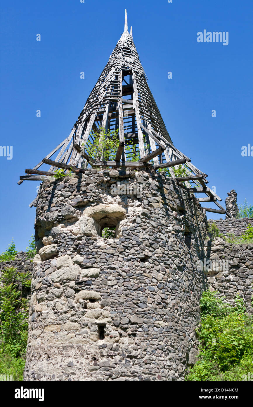 Nevitsky Castle ruins built in 13th century. Ukraine Stock Photo - Alamy
