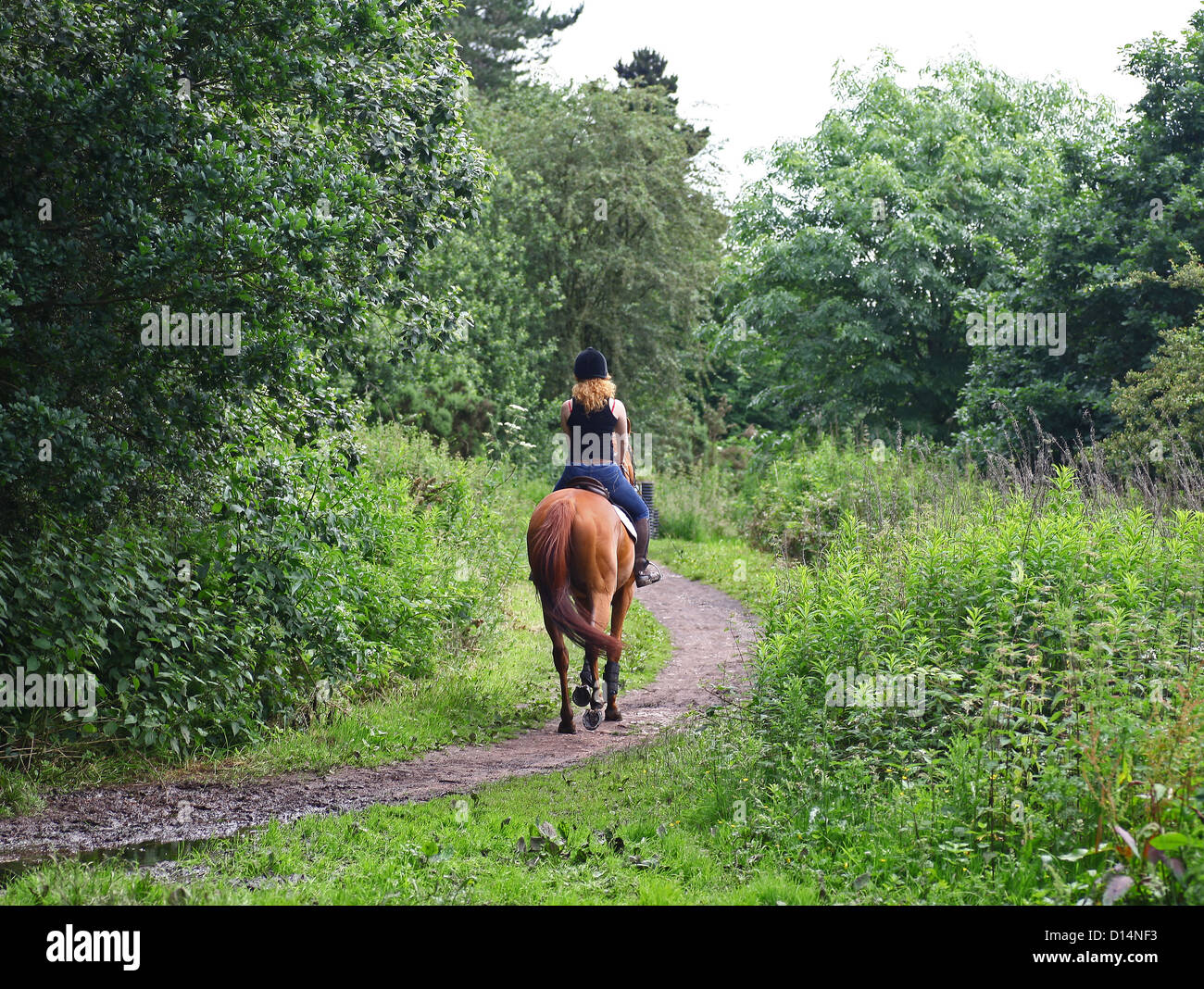 Lady Riding A Horse High Resolution Stock Photography and Images - Alamy