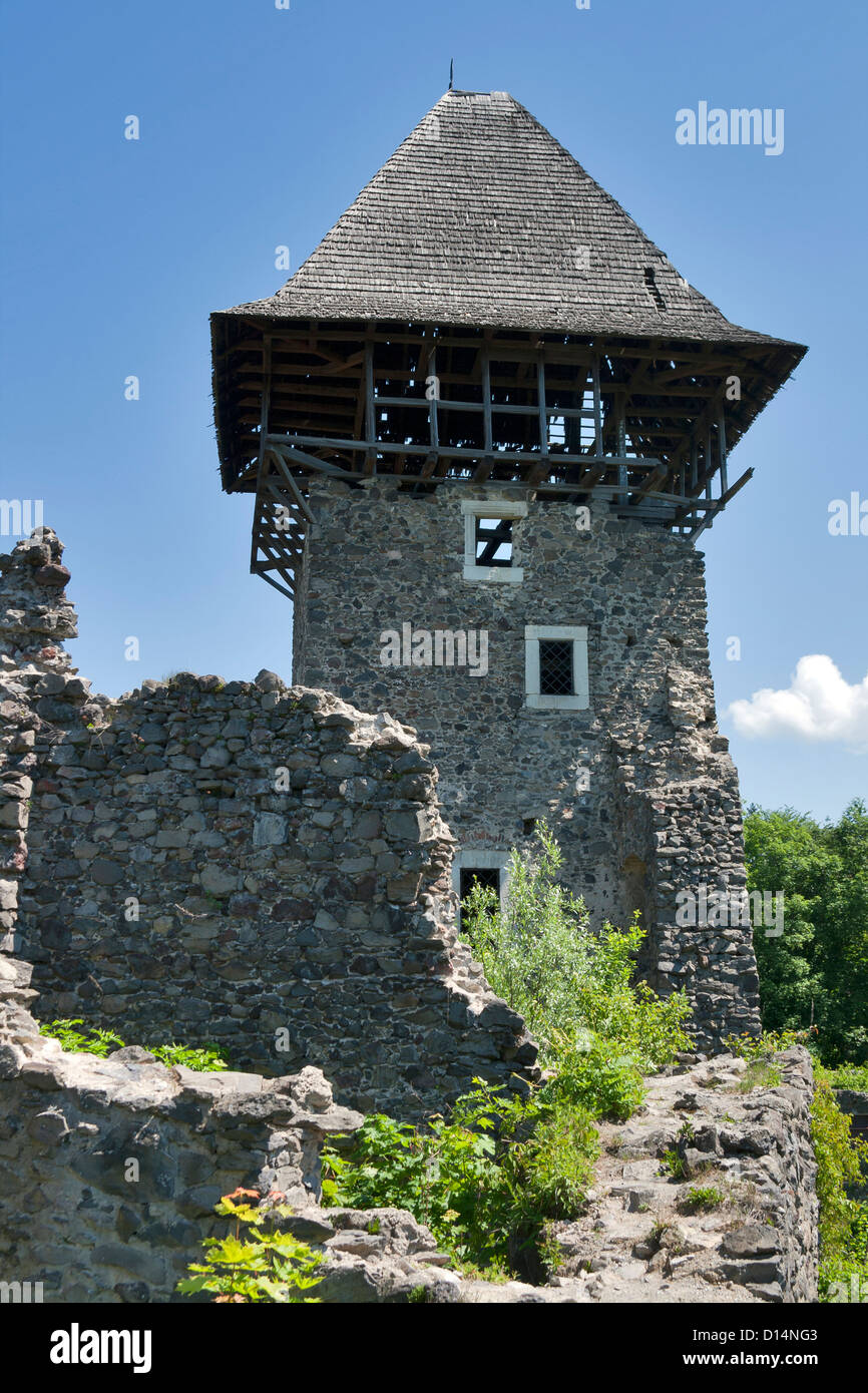 Nevitsky Castle ruins built in 13th century. Ukraine Stock Photo - Alamy