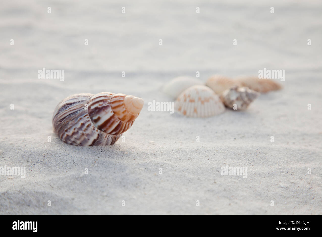 St. petersburg florida beach horizontal hi-res stock photography and ...
