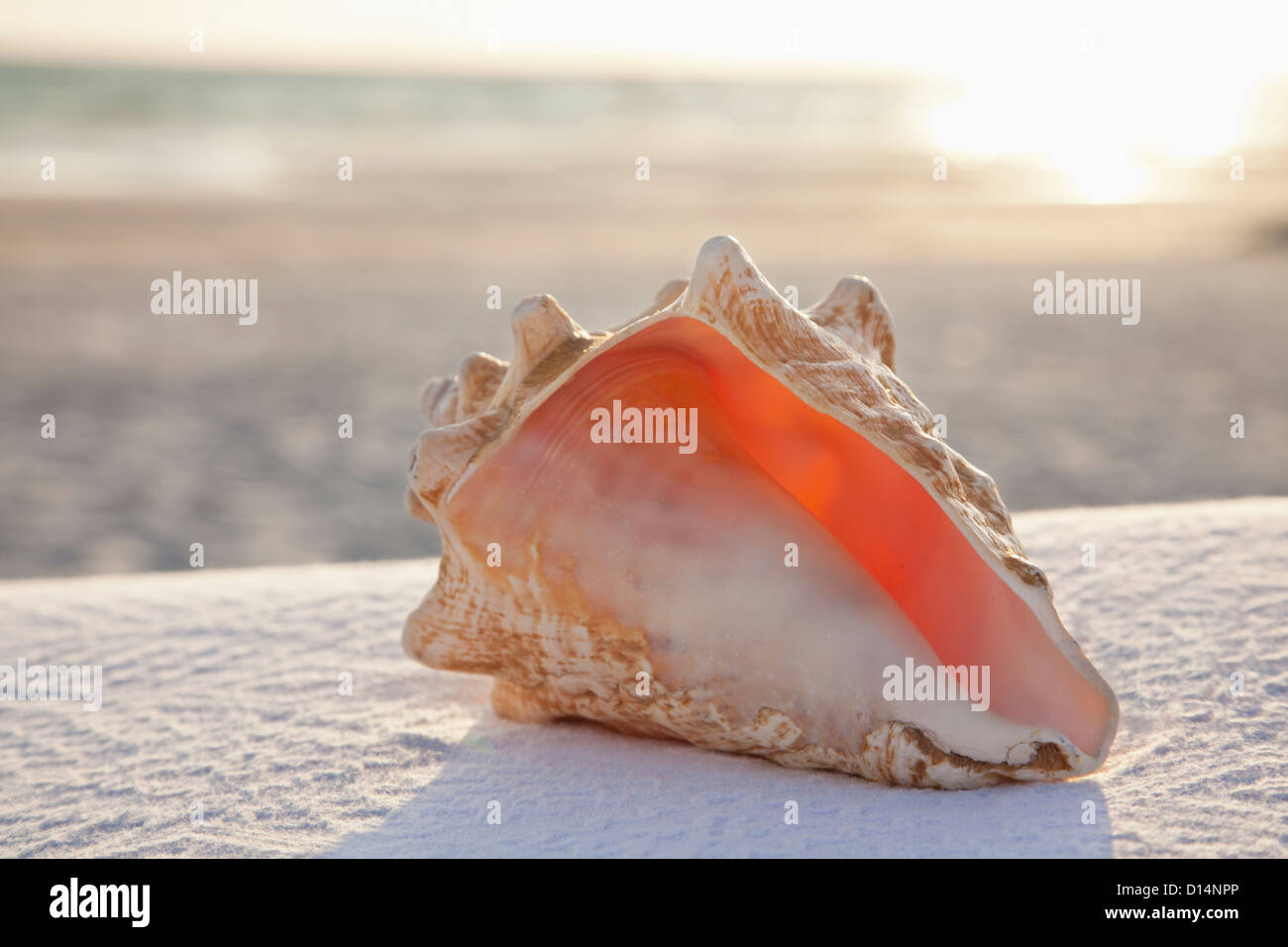 Idyll simple nobody daytime sunshine idyllic simplicity hi-res stock ...