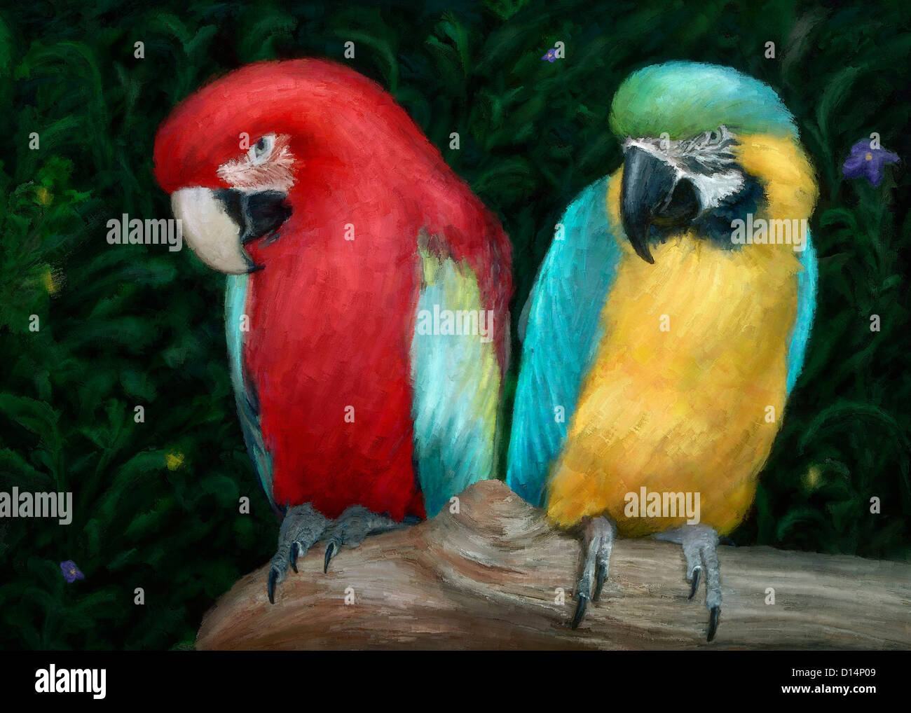 Two colorful parrots sitting on branch together Stock Photo - Alamy