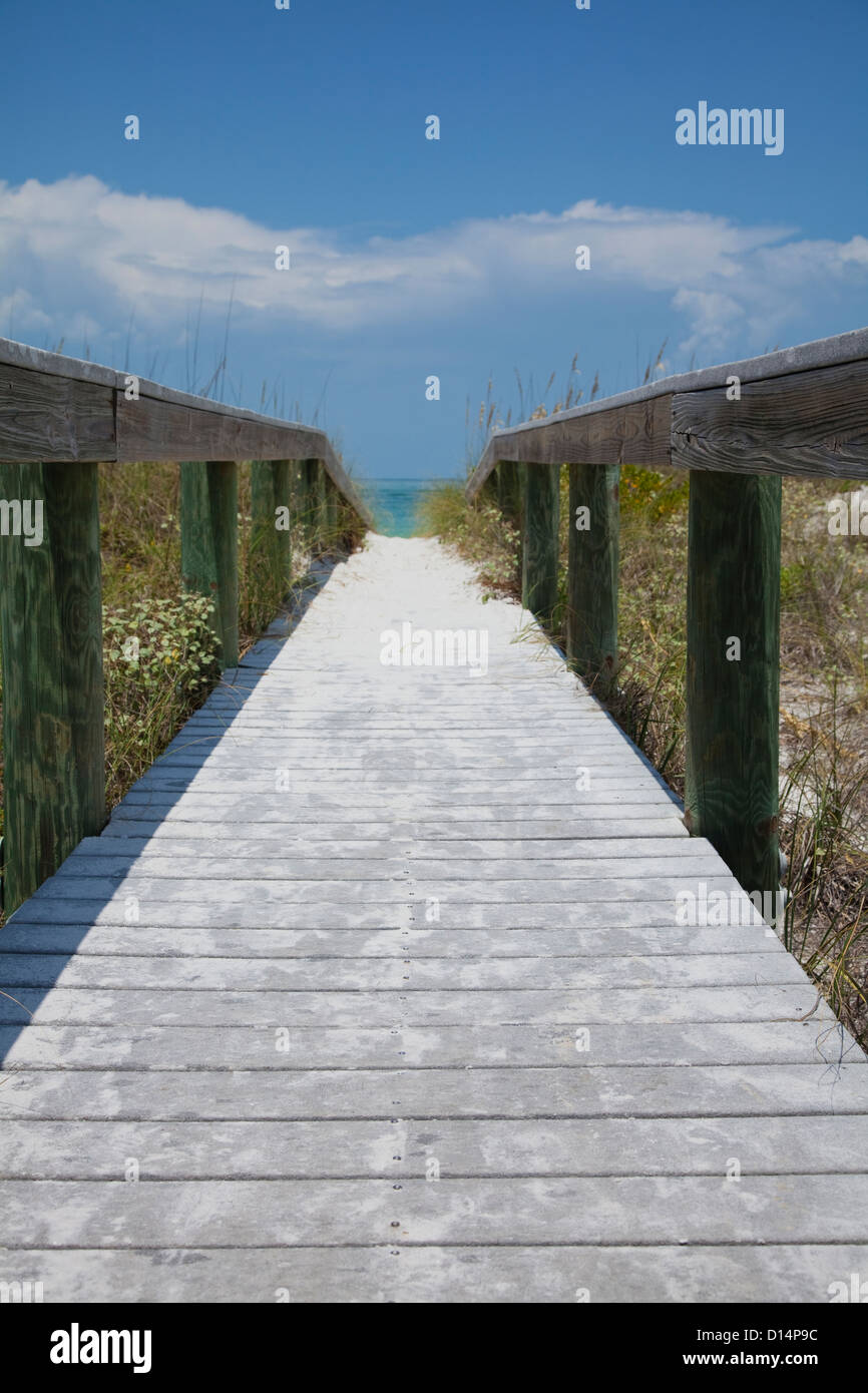 USA, Florida, St. Petersburg, Pathway on beach Stock Photo - Alamy