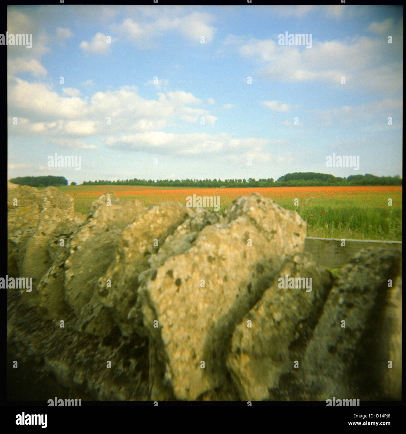 Stone Wall in FIelds Stock Photo - Alamy
