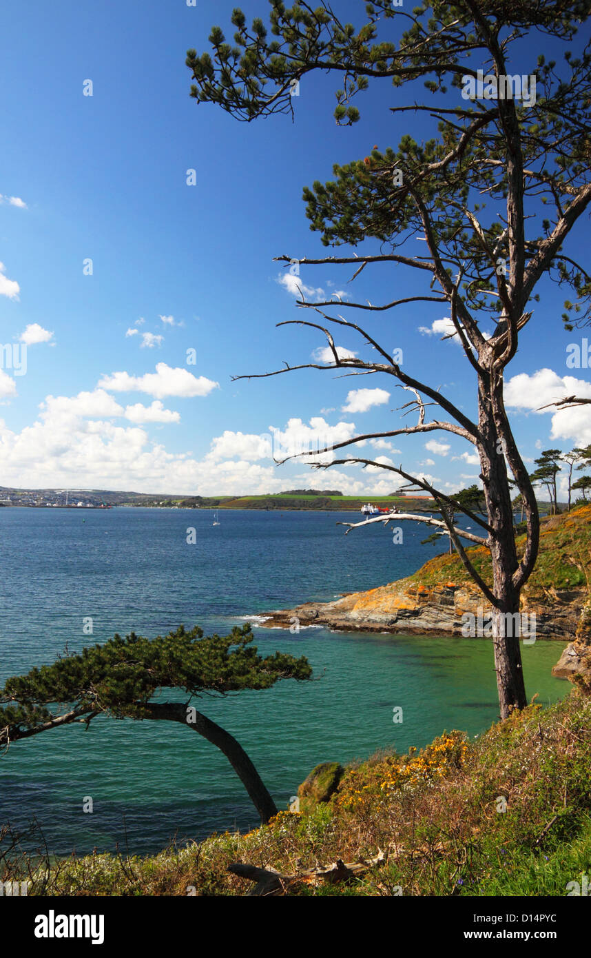 Cornish coastal hi-res stock photography and images - Alamy Cornish coastal hi-res stock photography and images - Alamy