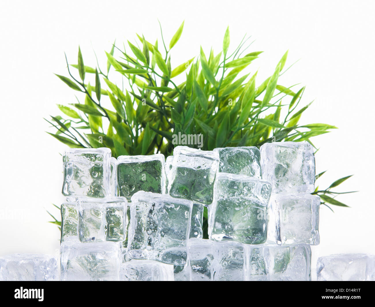 Stacked ice cubes by green plant Stock Photo - Alamy