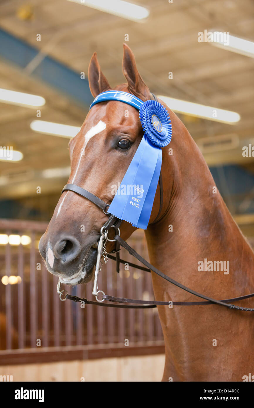 Ribbon racing hi-res stock photography and images - Alamy