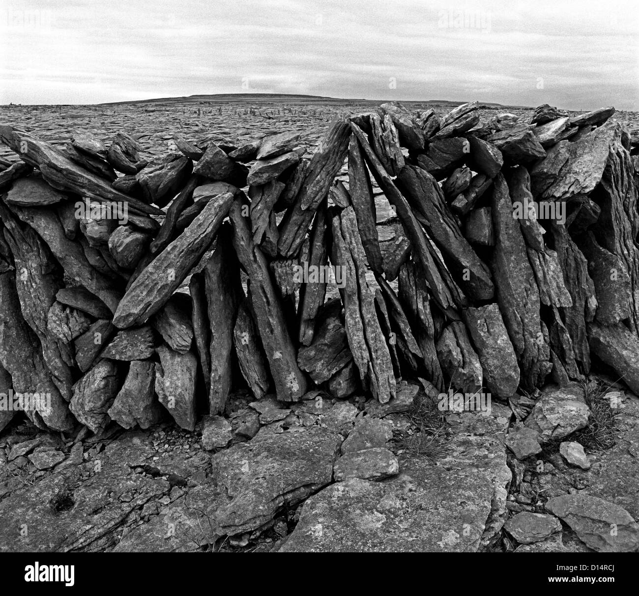 Burren Stone Wall, The Burren, Co Clare, Ireland Stock Photo - Alamy