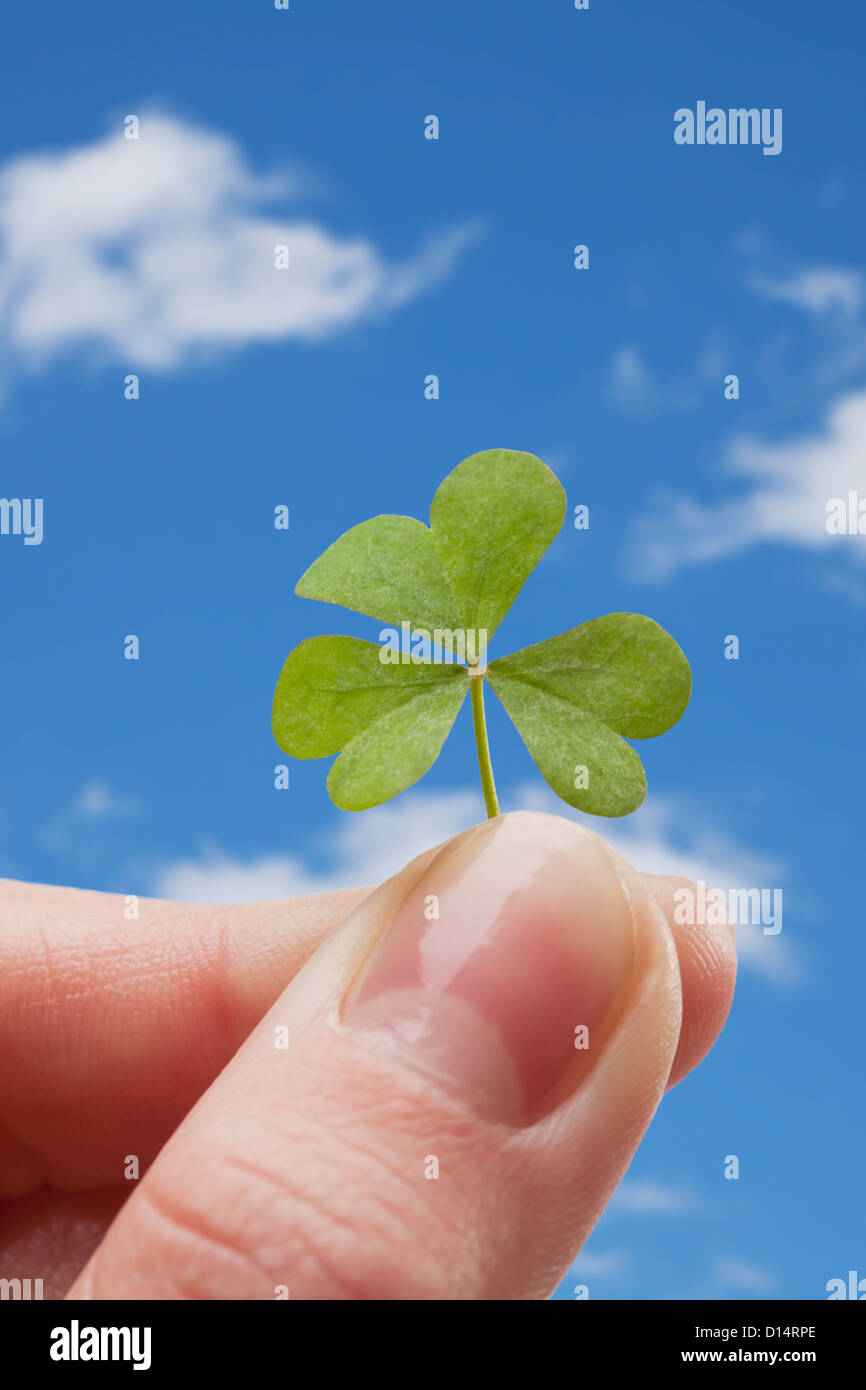 Clover luck vertical hi-res stock photography and images - Alamy