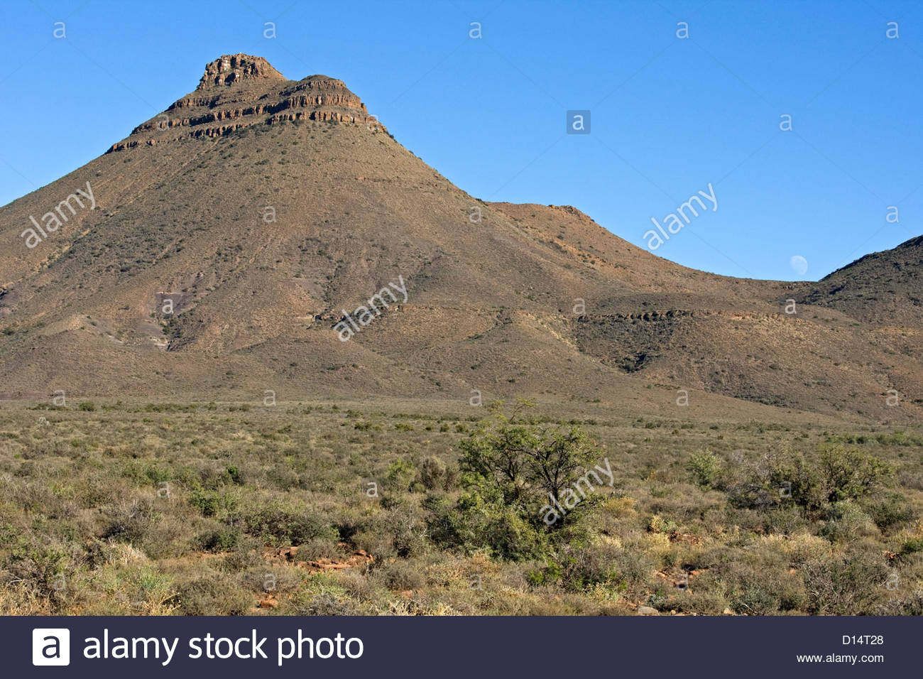 Karoo National Park High Resolution Stock Photography and Images - Alamy