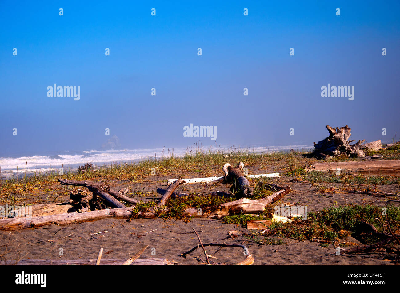 Beach with Driftwood in Northern California USA Stock Photo - Alamy