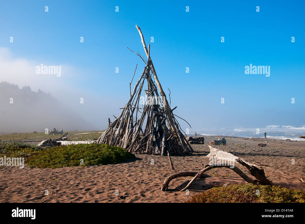 Beach with Driftwood in Northern California USA Stock Photo - Alamy