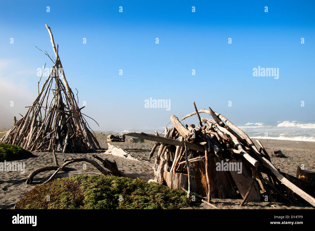 Beach with Driftwood in Northern California USA Stock Photo - Alamy