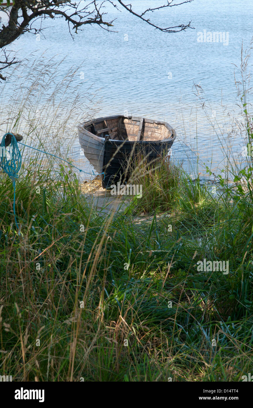 Boat tied to a tree hi-res stock photography and images - Alamy