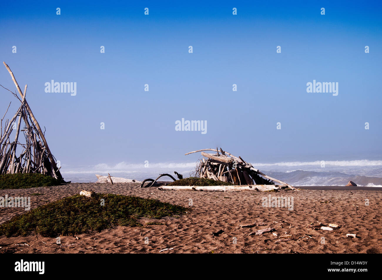Beach with Driftwood in Northern California USA Stock Photo - Alamy