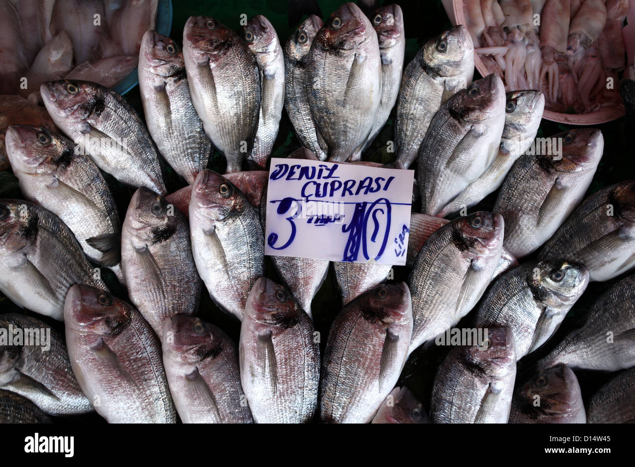 Fish from Bosphorus at the Karaköy fish market Stock Photo - Alamy