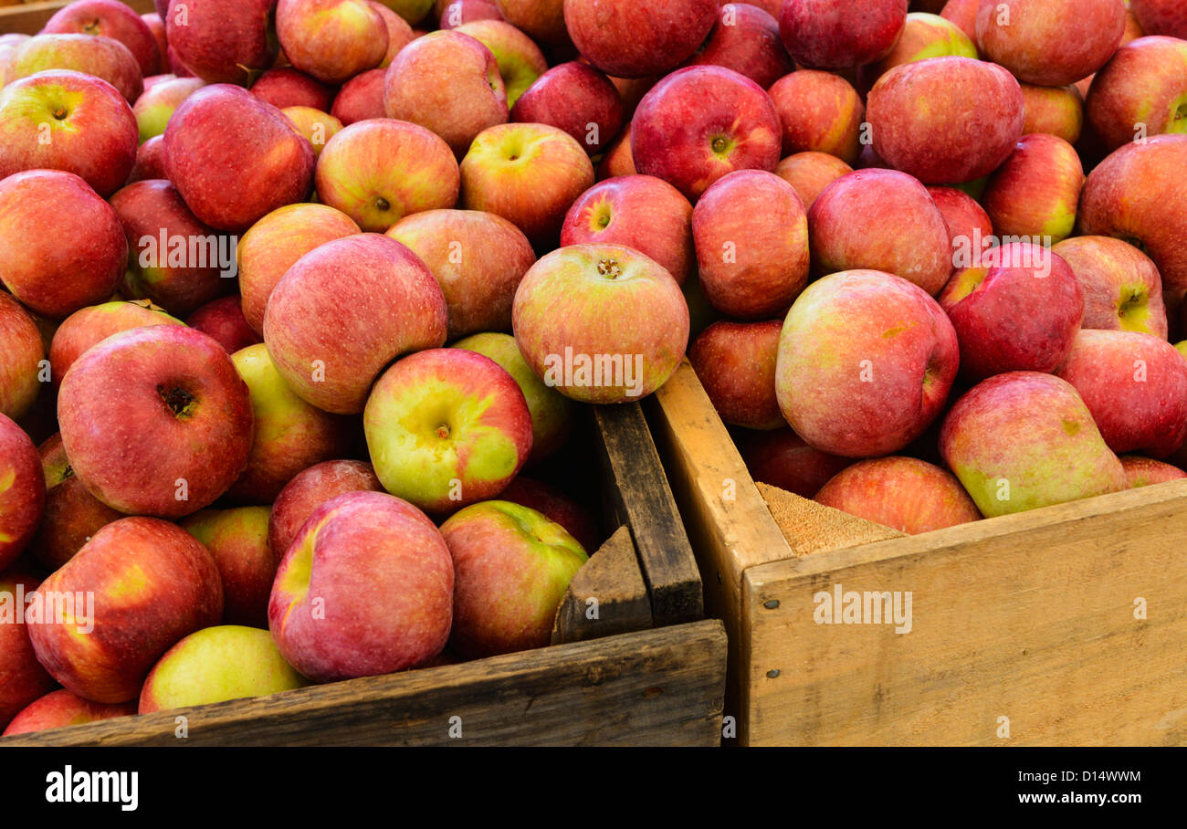 USA, New York City, Apple crates Stock Photo - Alamy