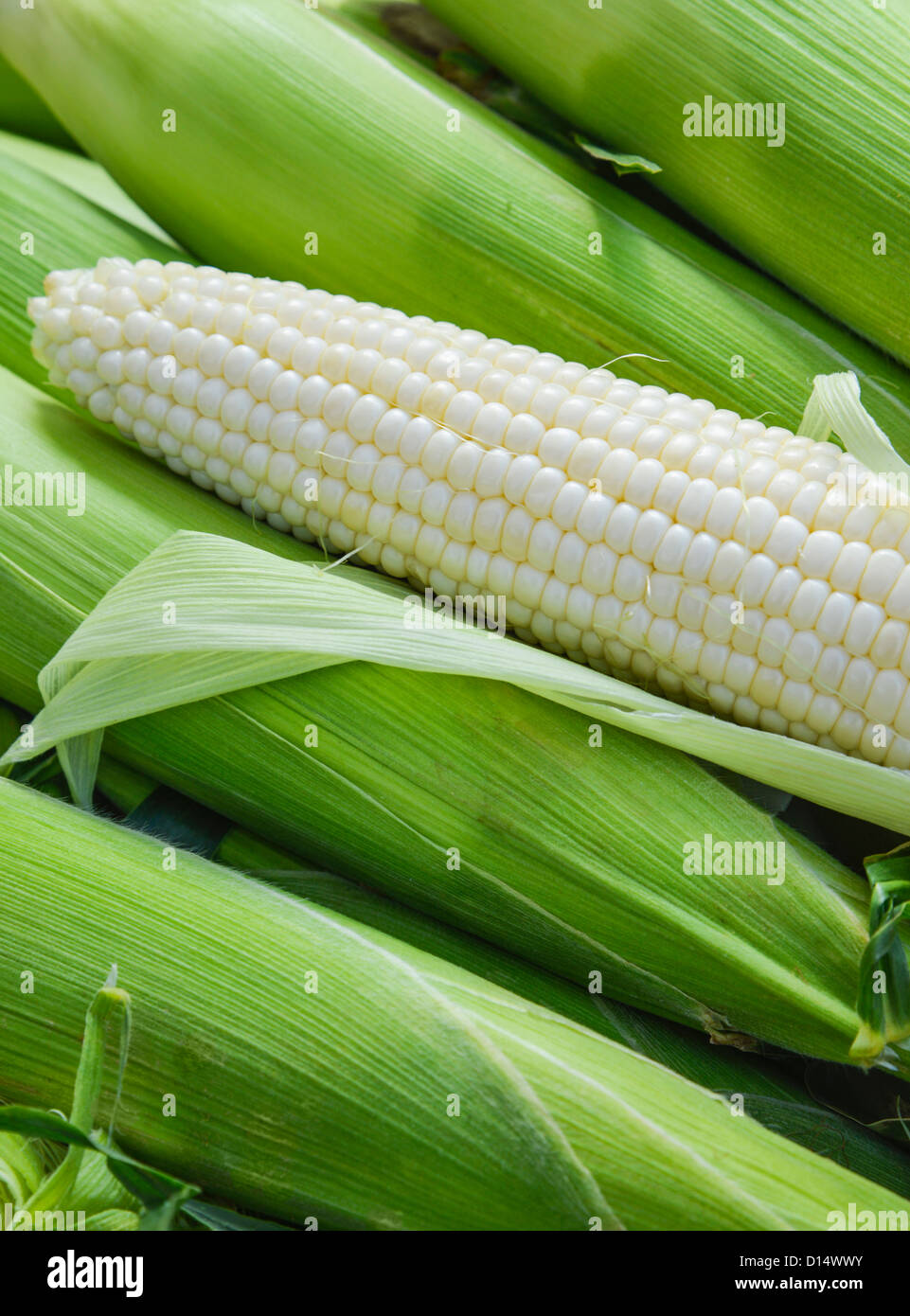 White corn hi-res stock photography and images - Alamy