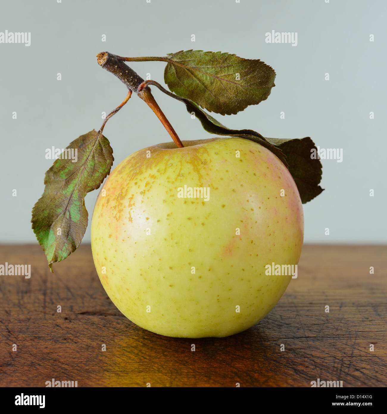Studio shot of apple Stock Photo - Alamy