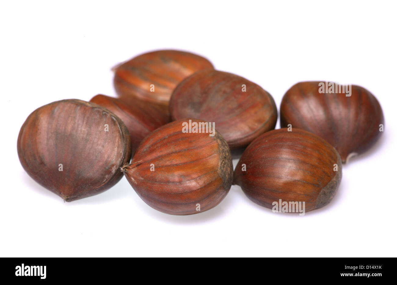 Pile of Christmas chestnuts studio cutout Stock Photo - Alamy
