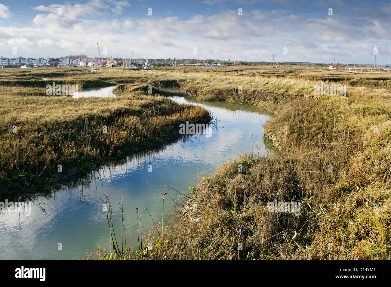 Tollesbury Saltings in Essex Stock Photo - Alamy