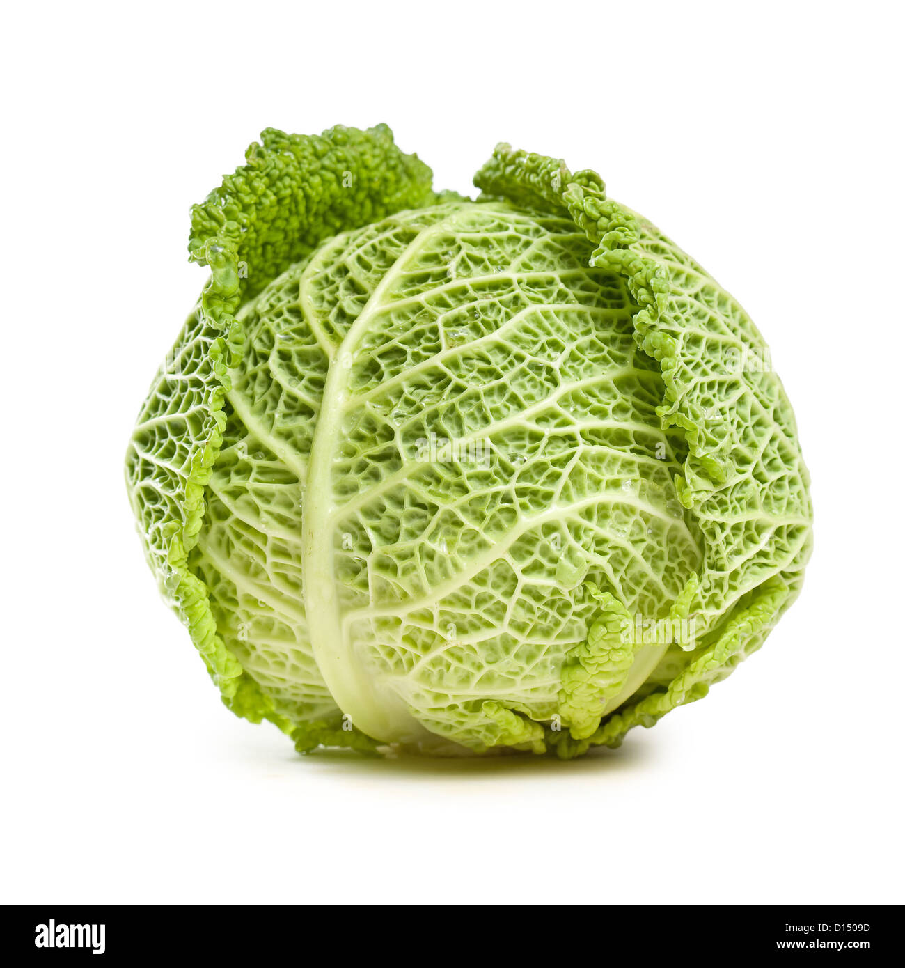 Studio shot of fresh ripe cabbage isolated on white background Stock ...