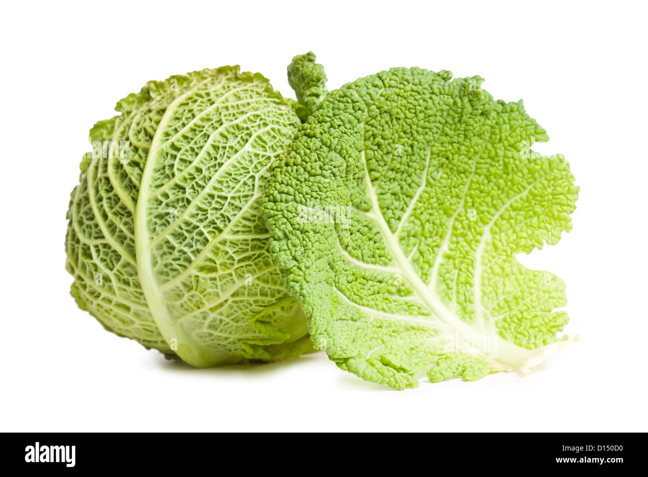 Studio shot of fresh ripe cabbage isolated on white background Stock ...