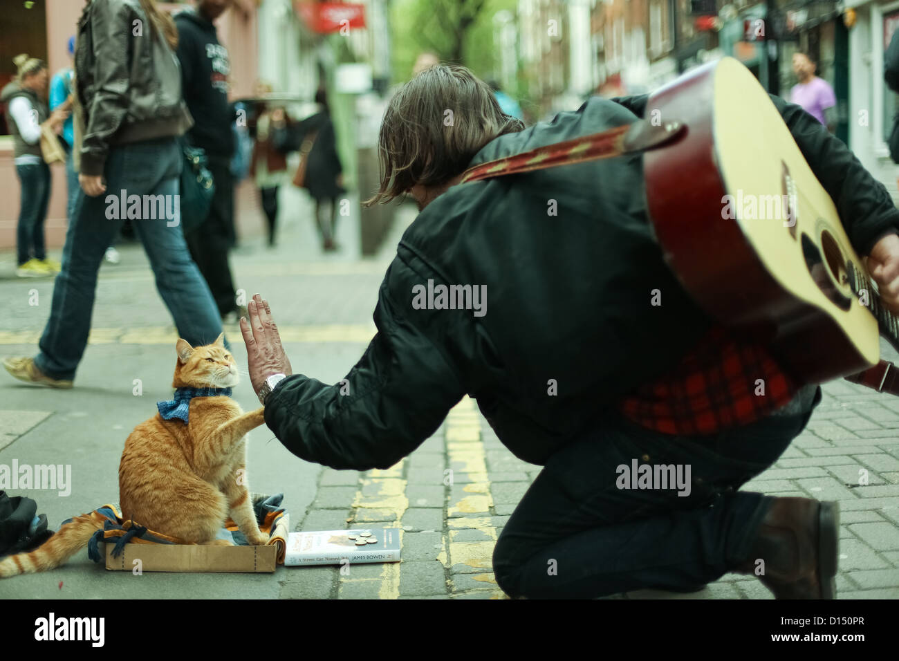 Cat high five hi-res stock photography and images - Alamy