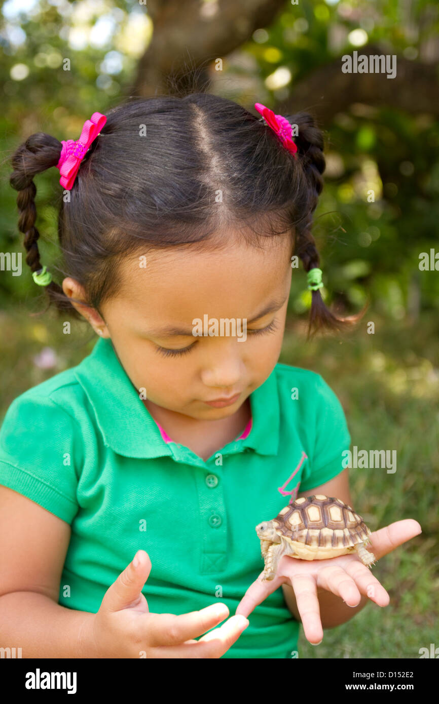 Hawaii, Young Girl Holding Small Tortoise In Hand Stock Photo - Alamy