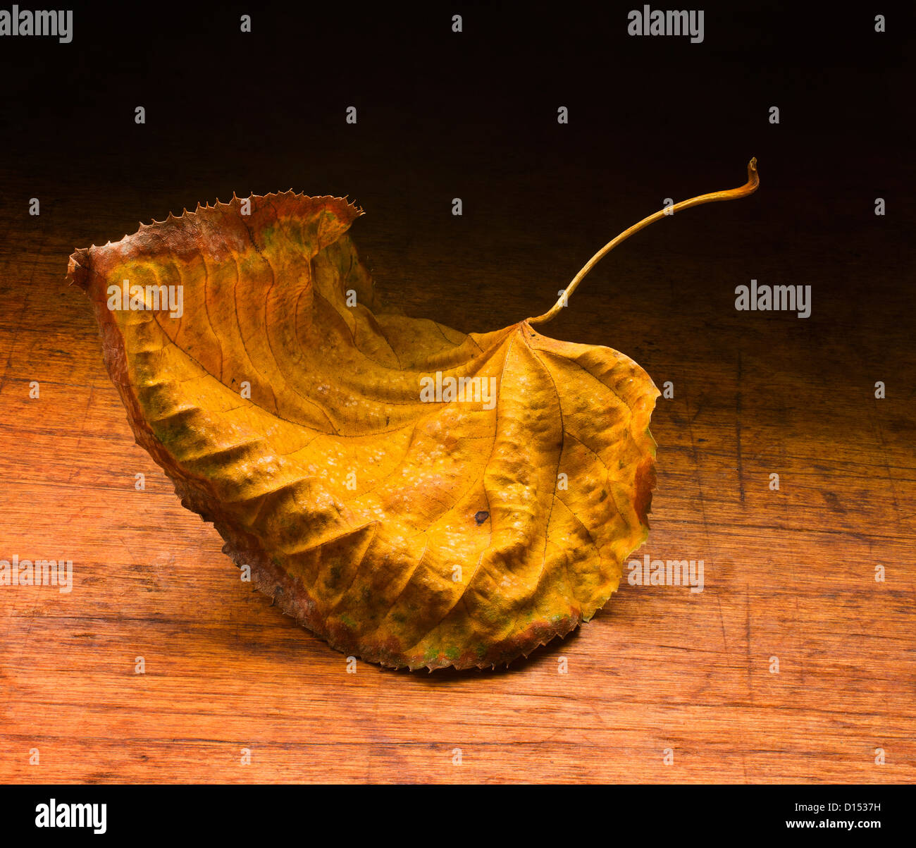 Dry leaf on wooden table Stock Photo - Alamy